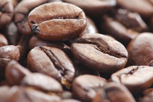 How to Make the Perfect Cup of Coffee: An Expert Guide | Stylist