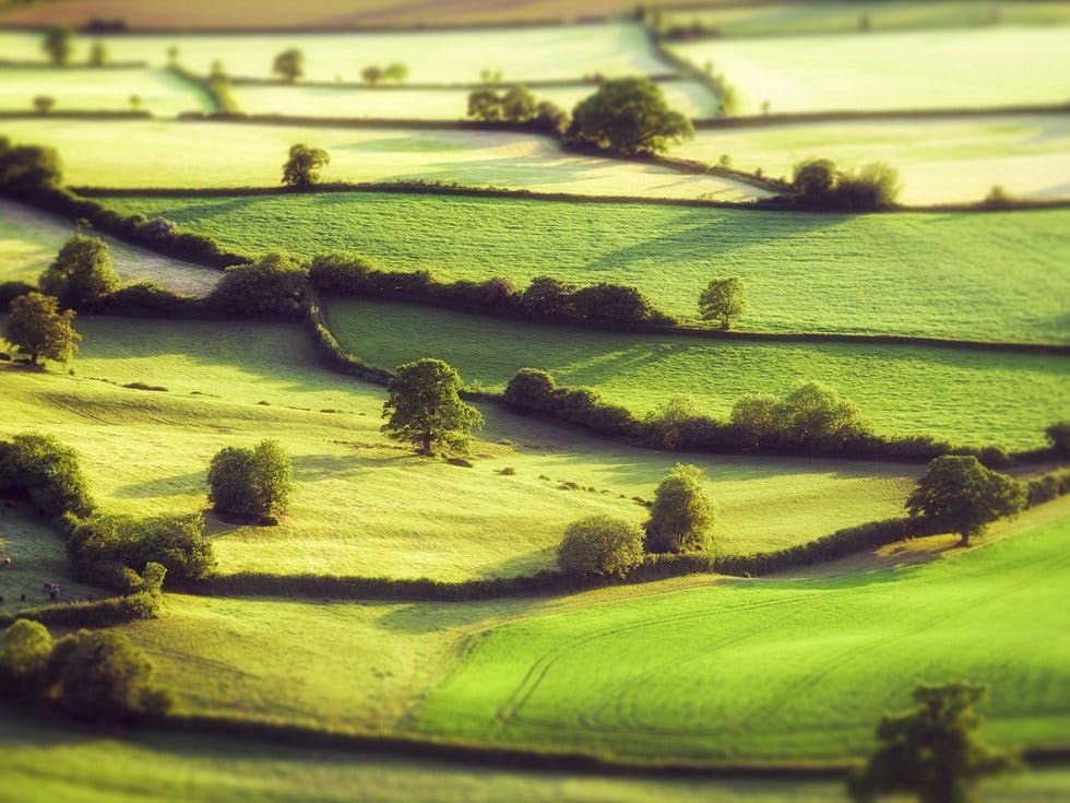 Why you should make your countryside life dreams a reality | Stylist